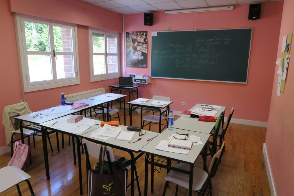 Group language classes: for, against and what to do