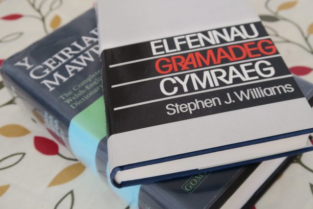 How to remember Welsh noun gender and how it works - the top guide