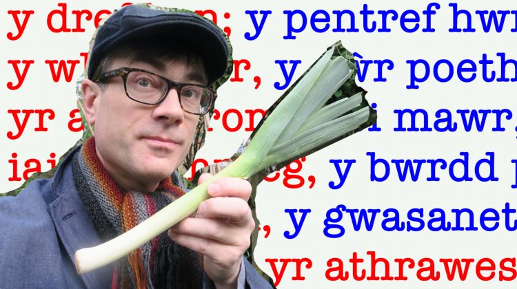 How to remember Welsh noun gender and how it works - the top guide